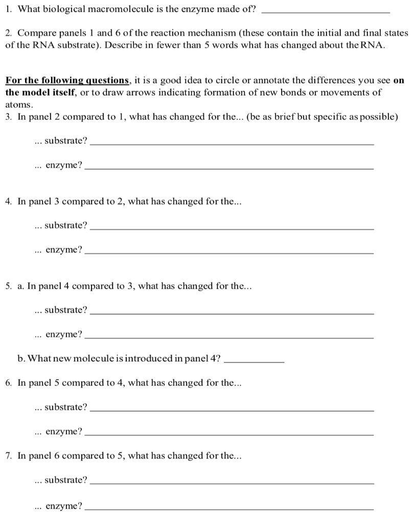 How do enzymes work? MODEL 1: NOTES: - His 12, Lys41, | Chegg.com