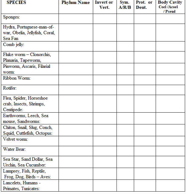 Solved Write the Phylum Name for Each Group of Species. | Chegg.com