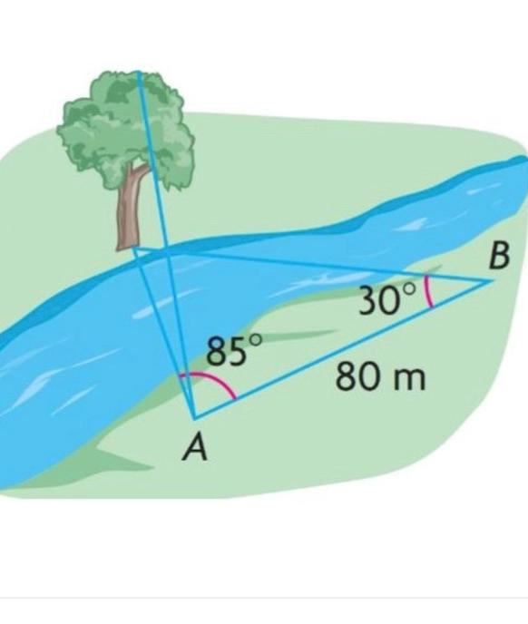 Solved The angle of elevation from A to the top of the tree | Chegg.com