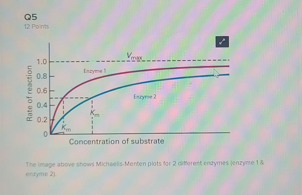 Solved Q5.1 6 Points Which enzyme has a higher affinity for | Chegg.com