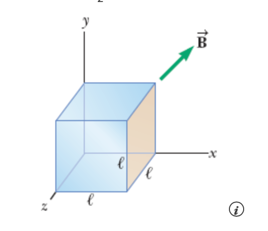 Solved A cube of edge length ℓ = 6.0 cm is positioned as | Chegg.com