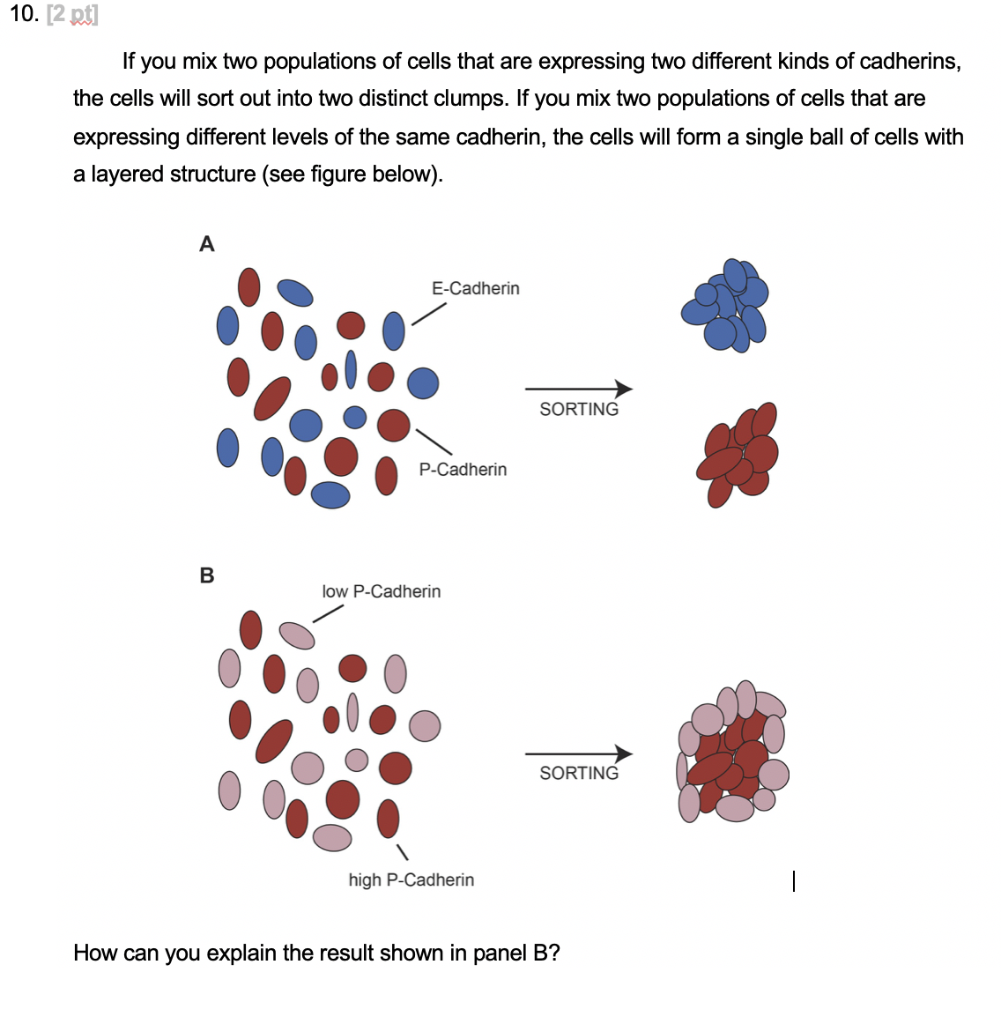 Solved 10. [2 pt] If you mix two populations of cells that | Chegg.com