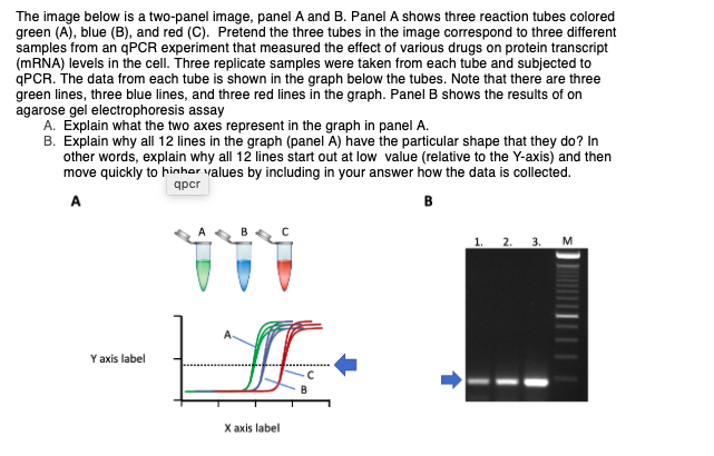 Solved The image below is a two-panel image, panel A and B. | Chegg.com