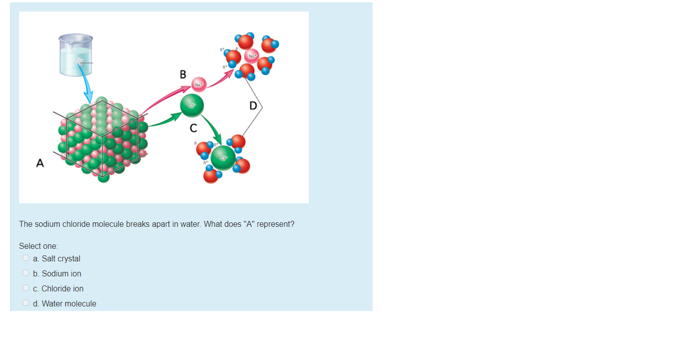 Solved The sodium chloride molecule breaks apart in water. | Chegg.com