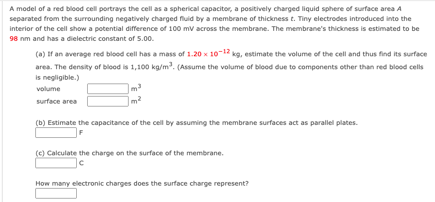 Solved A model of a red blood cell portrays the cell as a | Chegg.com