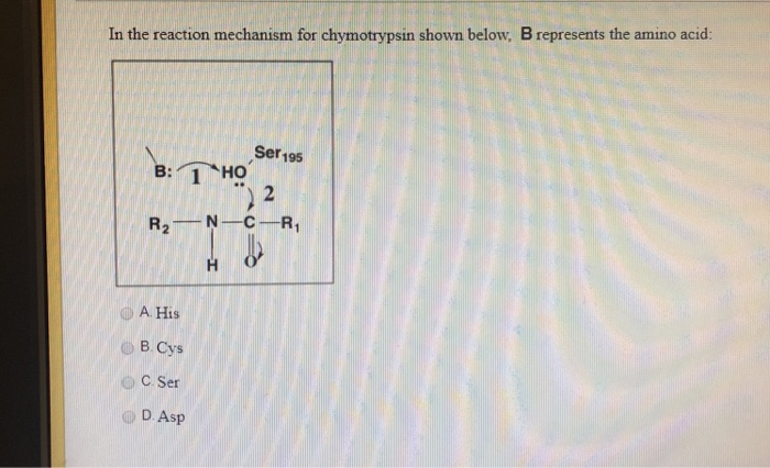 Solved In the reaction mechanism for chymotrypsin shown | Chegg.com