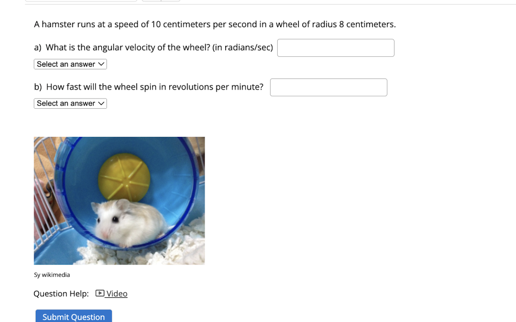 Solved A hamster runs at a speed of 10 centimeters per | Chegg.com
