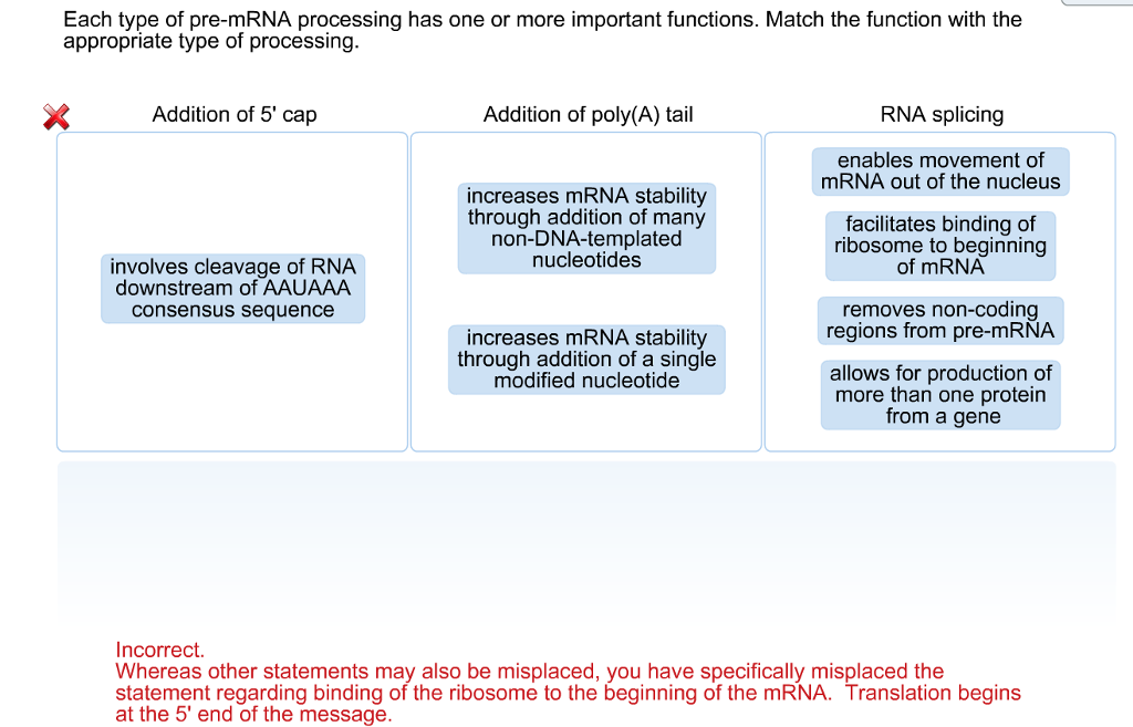 Solved Each type of pre-mRNA processing has one or more | Chegg.com