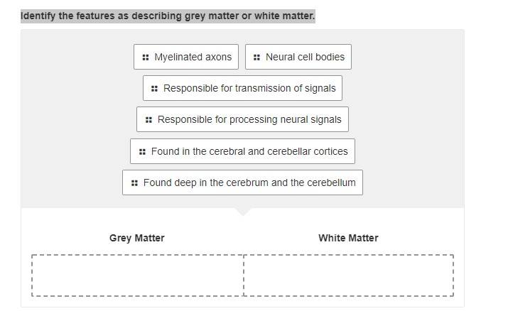 Solved Identify the features as describing grey matter or | Chegg.com