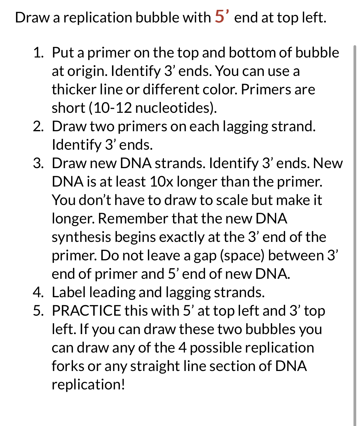 Solved 1. Put a primer on the top and bottom of bubble at | Chegg.com