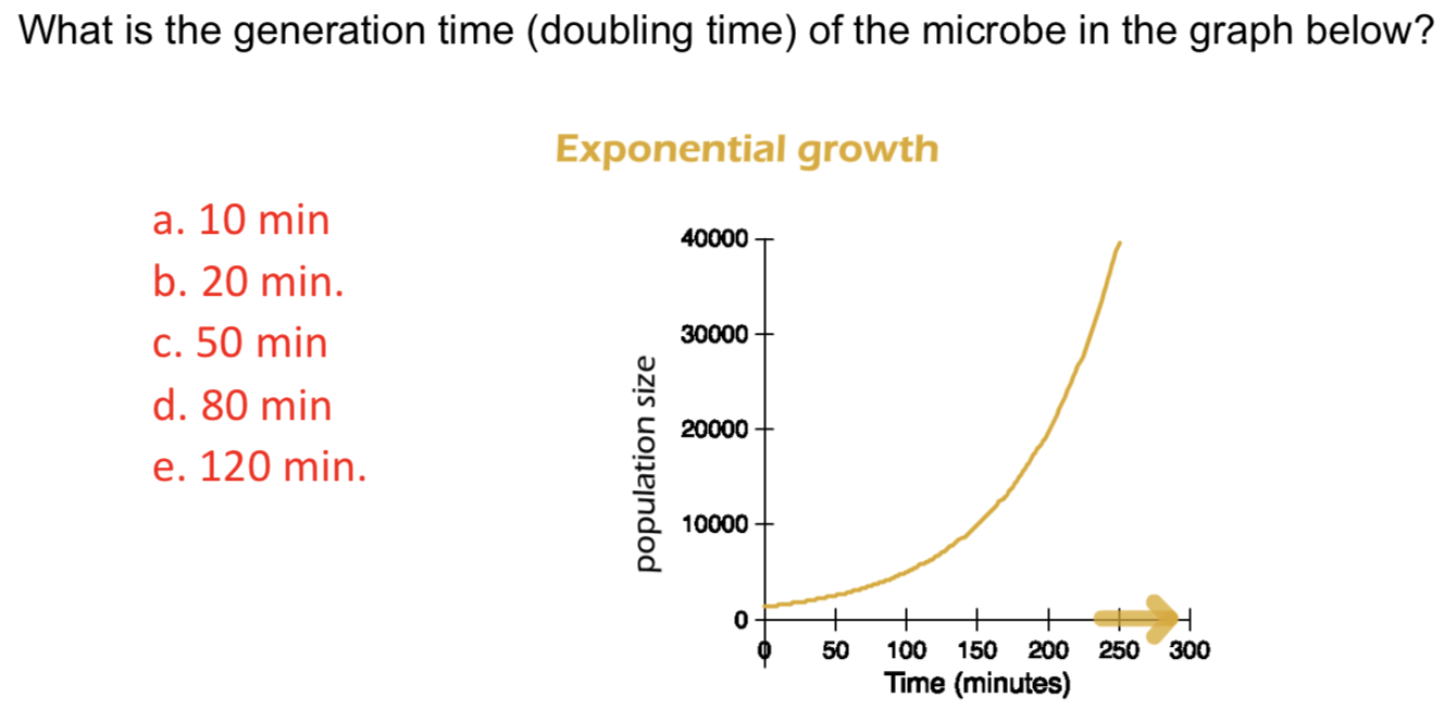 Solved What is the generation time (doubling time) of the | Chegg.com