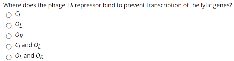 Solved Where does the phage λλ repressor bind to prevent | Chegg.com