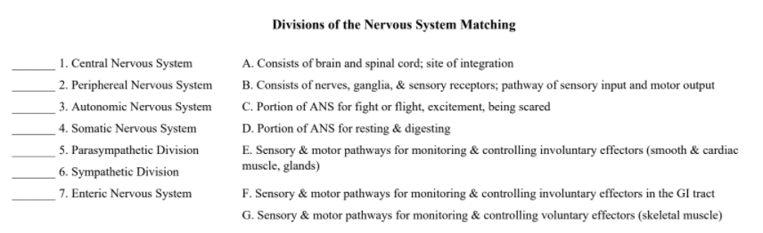 Solved Divisions of the Nervous System Matching 1. Central | Chegg.com