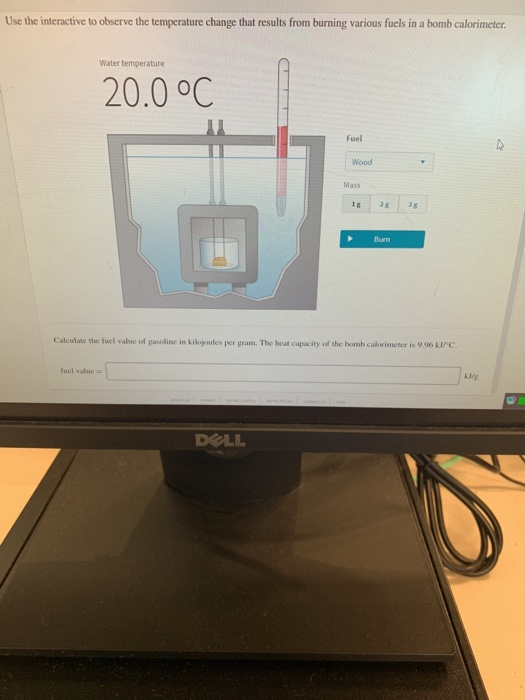 Use the interactive to observe the temperature change | Chegg.com