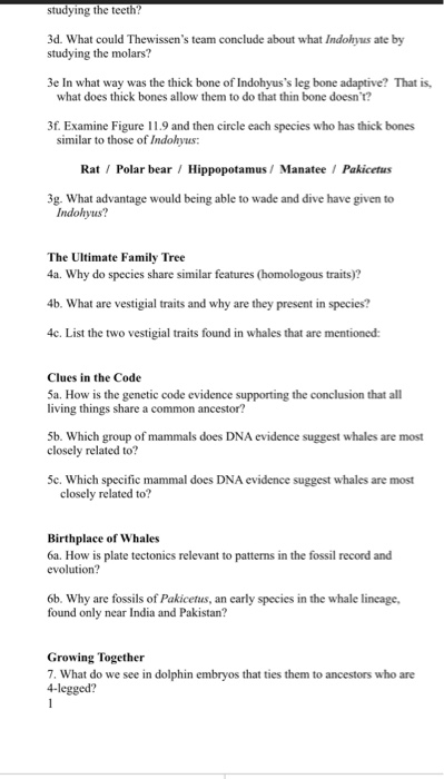 Solved Learn Before Lecture Worksheet Chapter 11: Whale | Chegg.com
