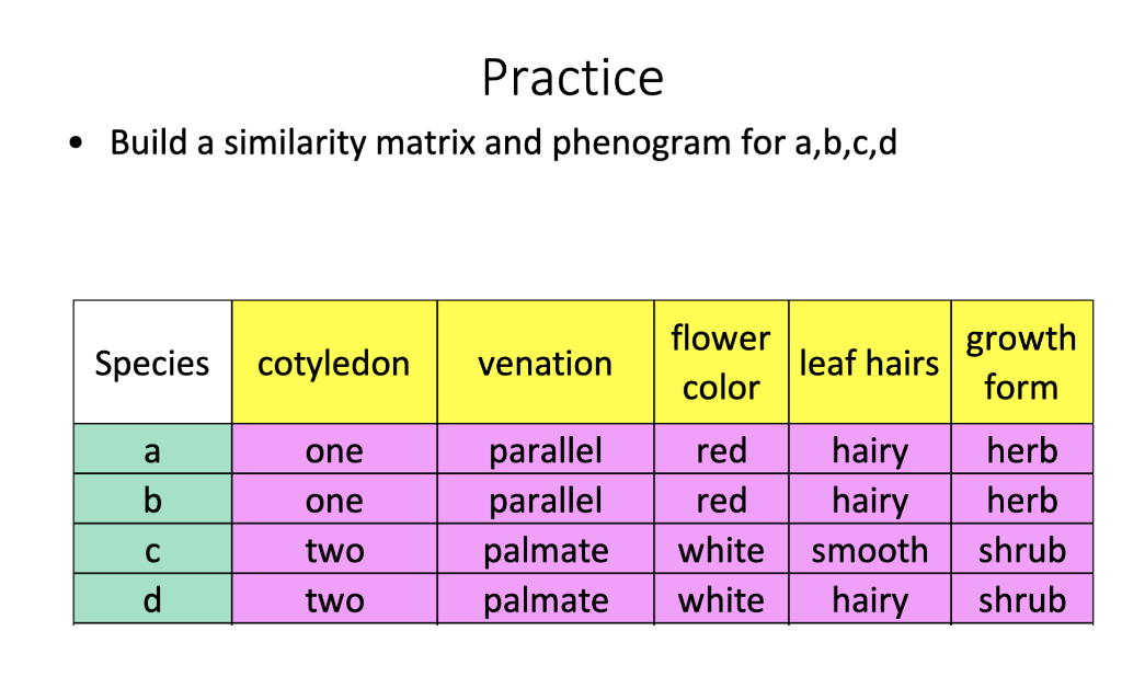 Solved Practice • Build a similarity matrix and phenogram | Chegg.com