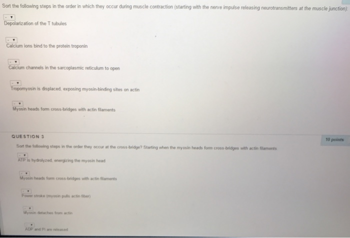 Solved Sont the following steps in the order in which they | Chegg.com