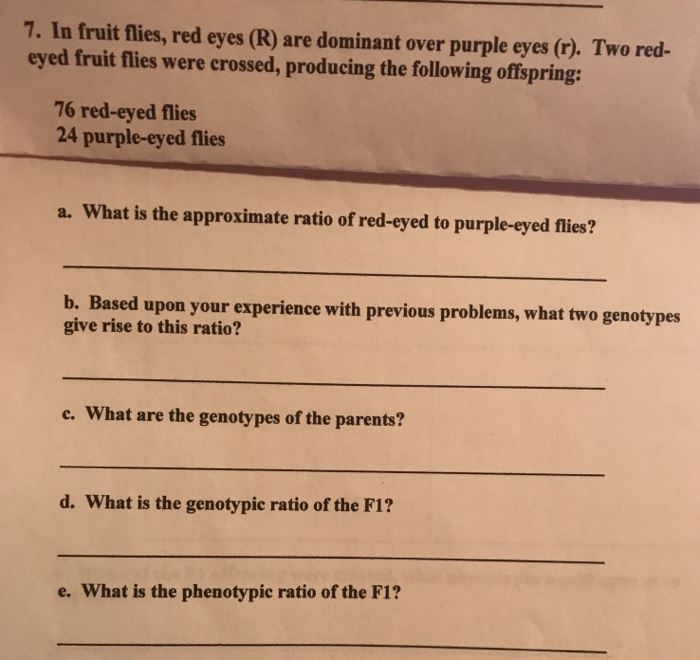 Solved 7. In fruit flies, red eyes (R) are dominant over | Chegg.com