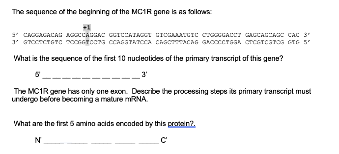 Solved The sequence of the beginning of the MC1R gene is as | Chegg.com