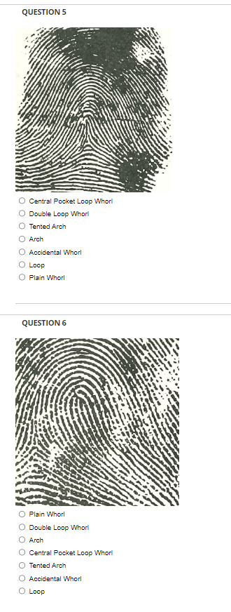 Solved Question 1 Arch Tented Arch Plain Whorl Central