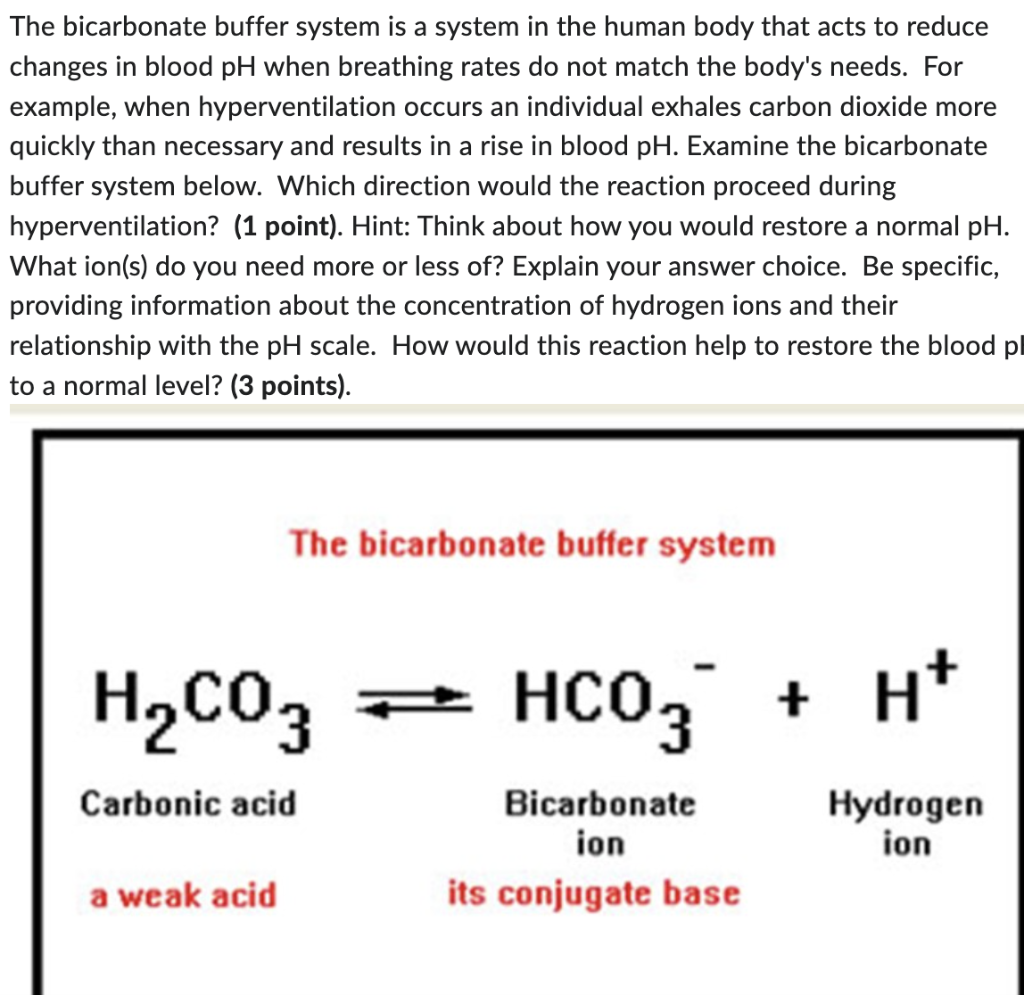 Solved The Bicarbonate Buffer System Is A System In The Chegg