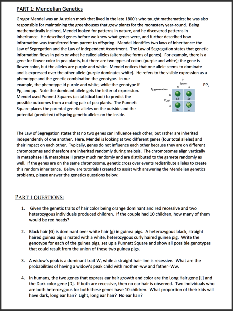 Solved PART 1: Mendelian Genetics Gregor Mendel was an | Chegg.com