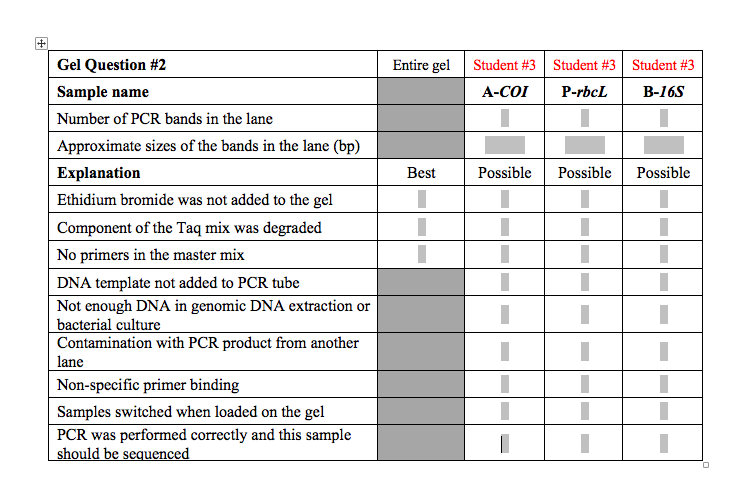 Gel Question #2- Student #3: Use the following gel | Chegg.com