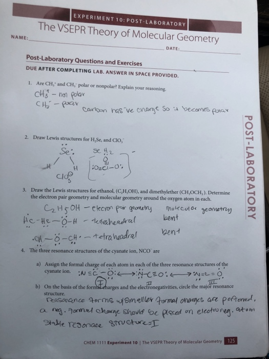 Solved EXPERIMENT 10:POST-LABORATORY The VSEPR Theory of | Chegg.com