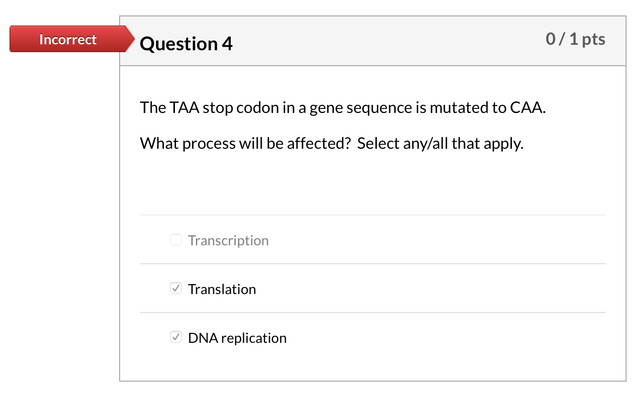 Solved Incorrect Question 4 0/1 pts The TAA stop codon in a | Chegg.com