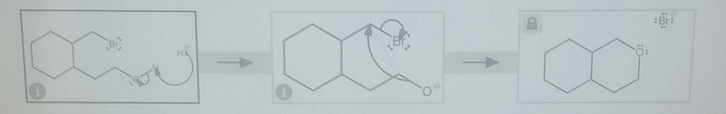 Solved Identify the unique common elementary steps in the | Chegg.com