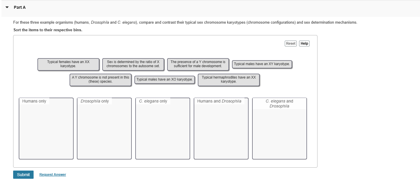 Solved Part AFor these three example organisms (humans, | Chegg.com