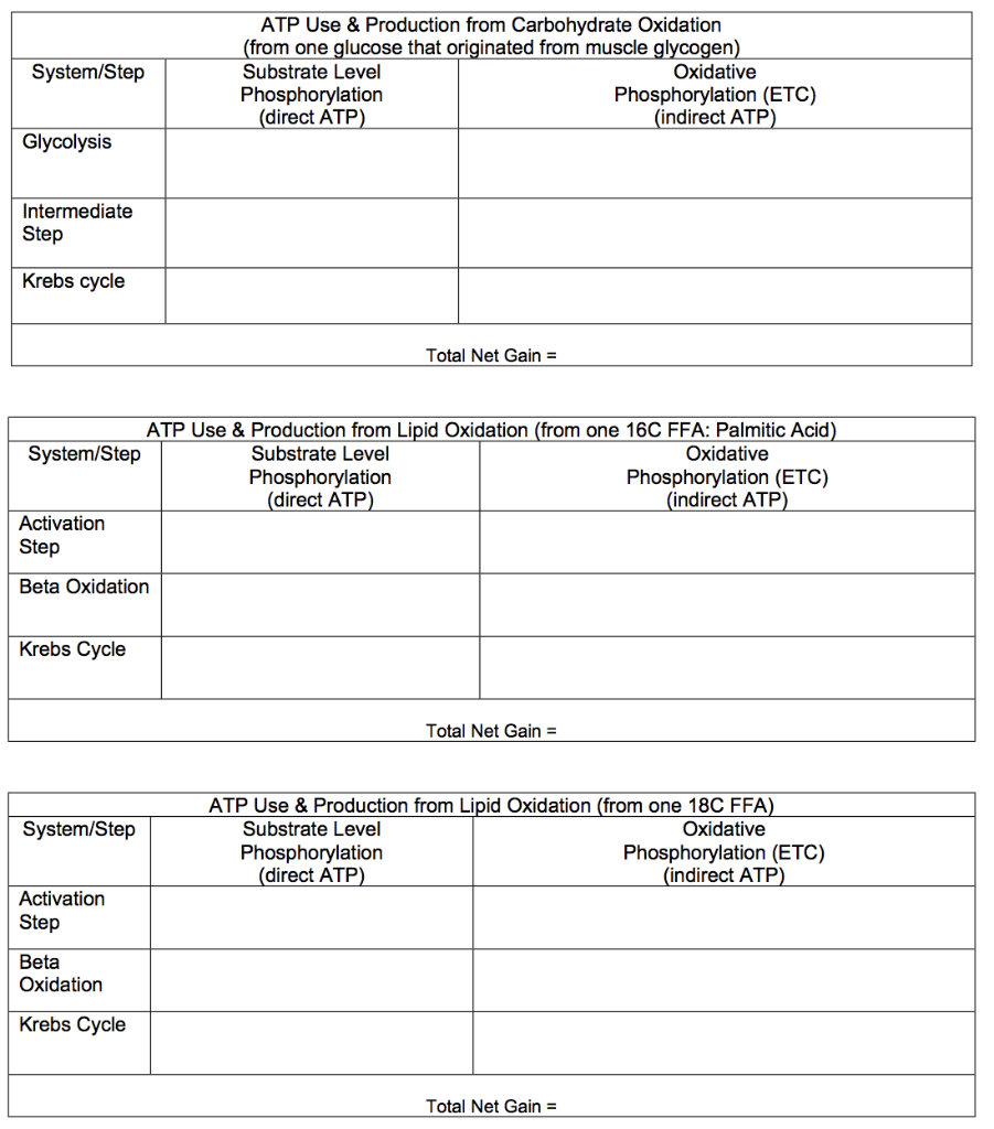 Solved Answer the ATP count questions below while looking at | Chegg.com