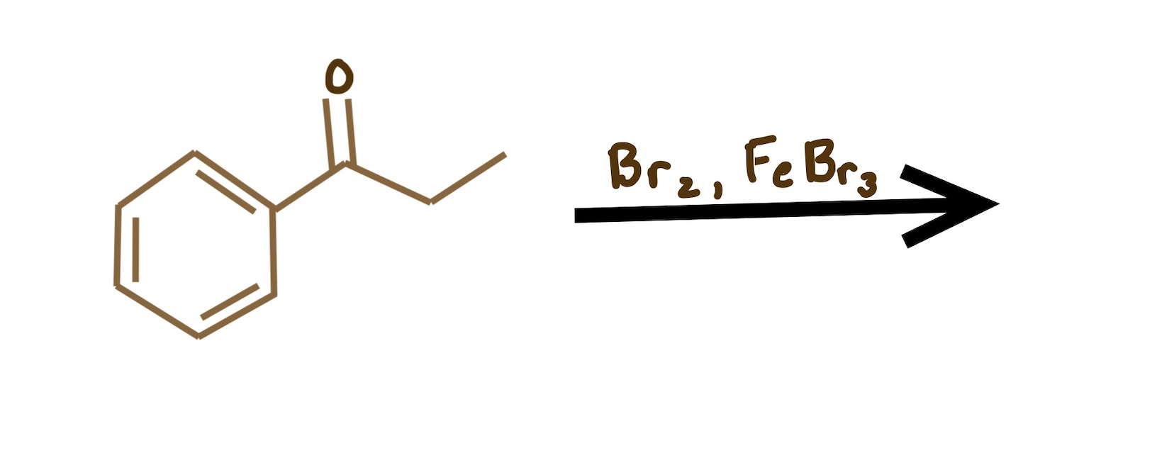 Solved Br2,FeBr3 | Chegg.com