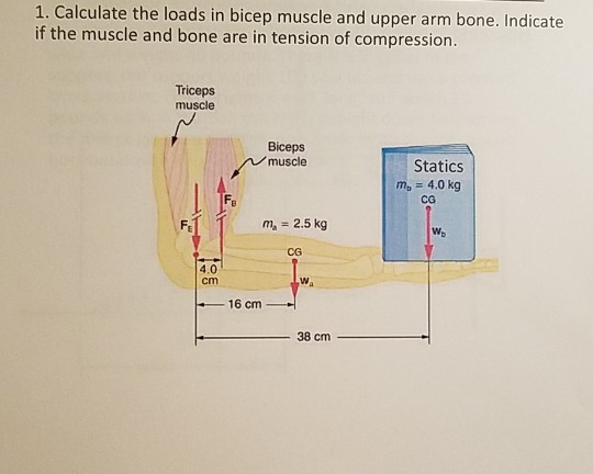 Solved I am in a statics engineering class and I am having | Chegg.com