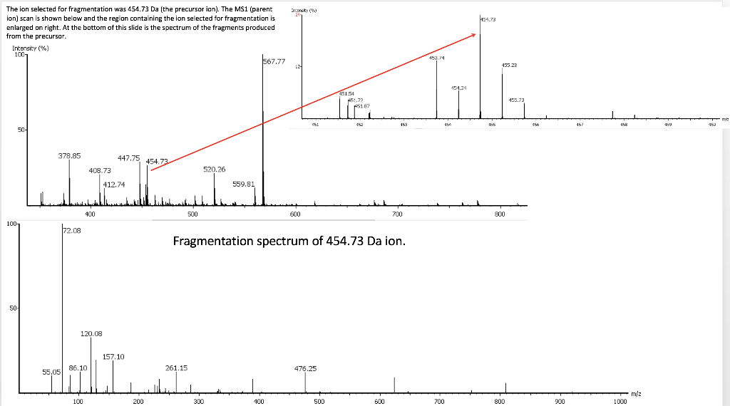 The next two slides are a MS1 (precursor ion) scan | Chegg.com