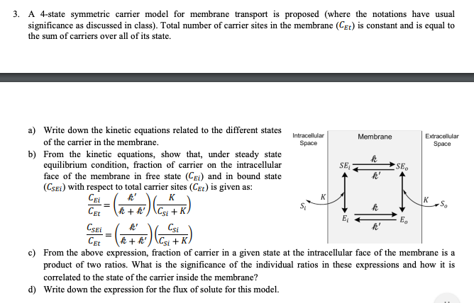3. A 4-state symmetric carrier model for membrane | Chegg.com