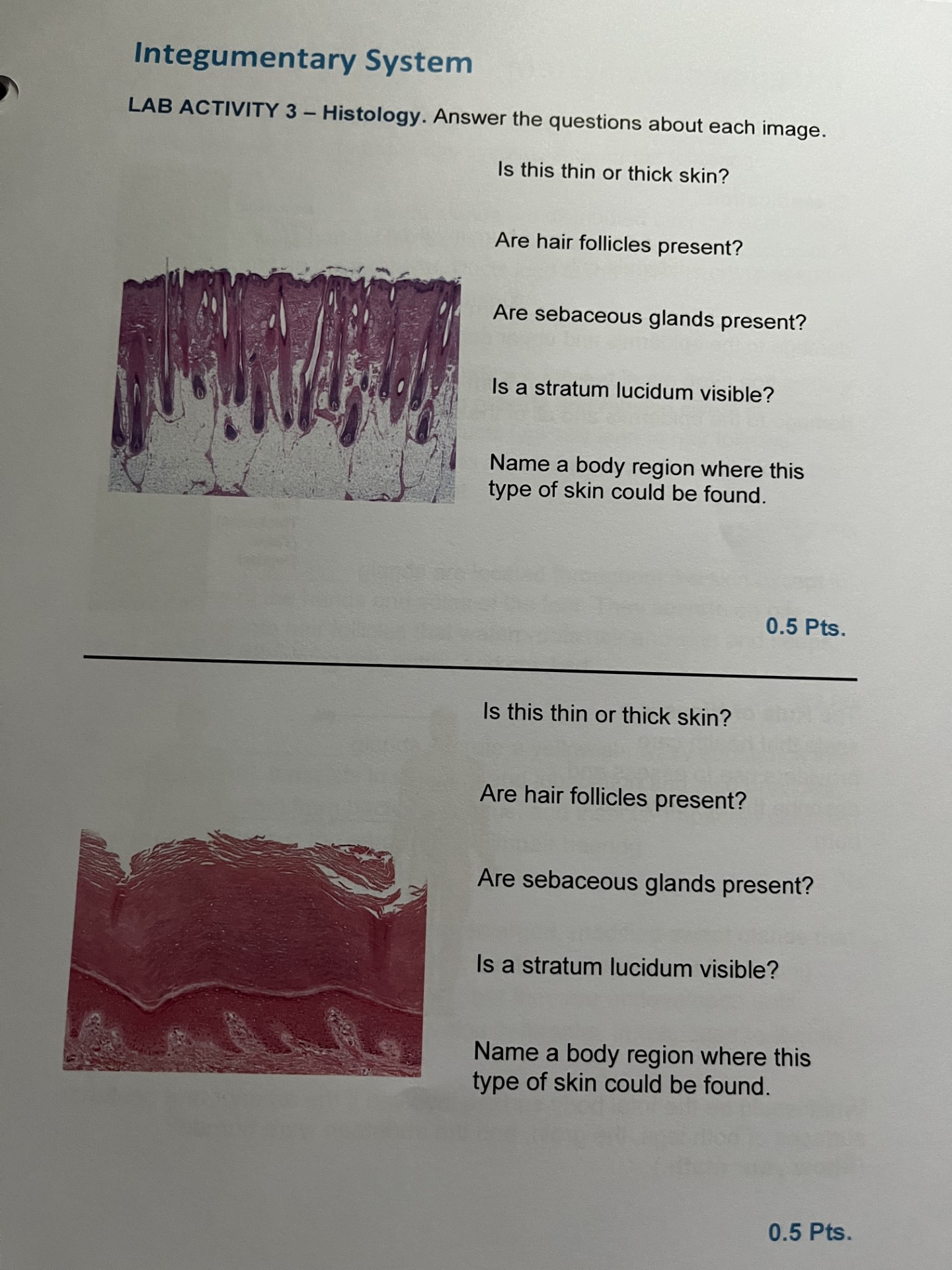 Solved LAB ACTIVITY 3 - Histology. Answer the questions | Chegg.com
