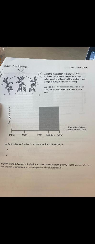 Solved BIOL311: Plant Physiology Exam 3 Study Guide wo at | Chegg.com