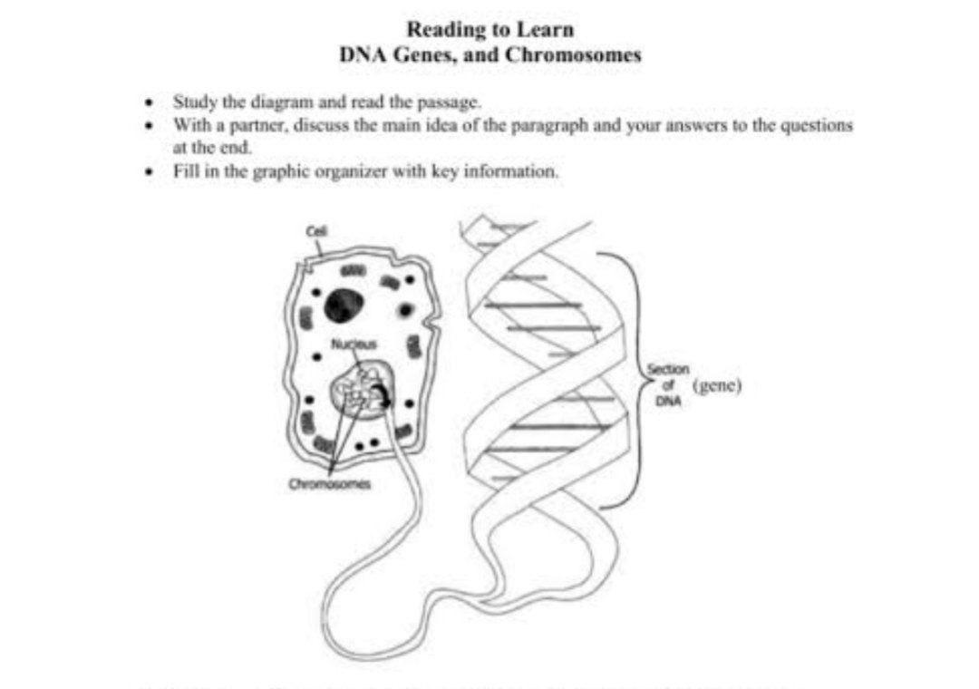 Solved Reading to Learn DNA Genes, and Chromosomes Study the | Chegg.com