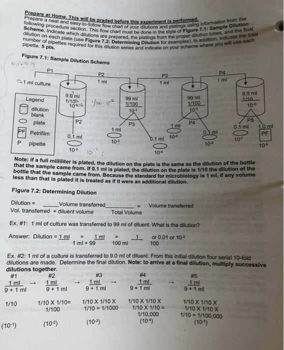 Solved Need help drawing out the dilution scheme as shown on | Chegg.com
