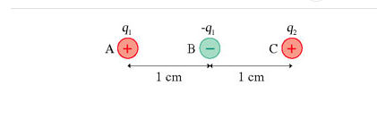 Solved What is the magnitude of the net electric force on | Chegg.com