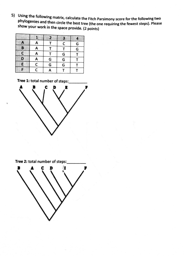 Solved 5) Using the following matrix, calculate the Fitch | Chegg.com