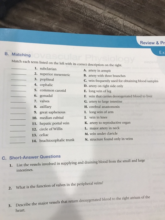 Solved match each term listed on the left with its correct | Chegg.com