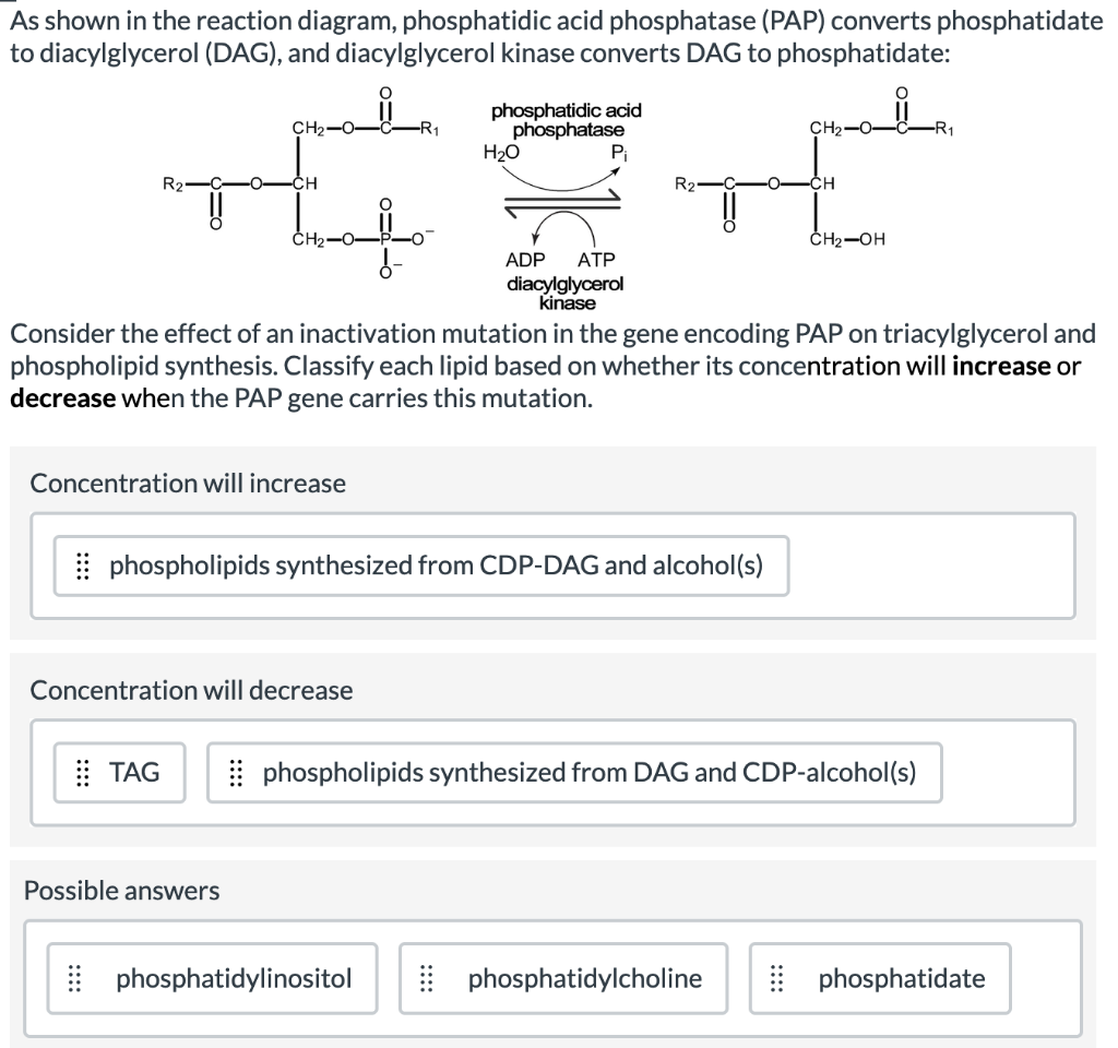 Solved As shown in the reaction diagram, phosphatidic acid | Chegg.com
