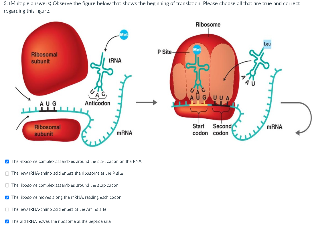 3. (Multiple answers) Observe the figure below that | Chegg.com