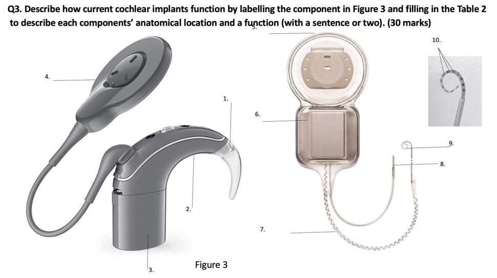 Solved Q3. Describe how current cochlear implants function | Chegg.com