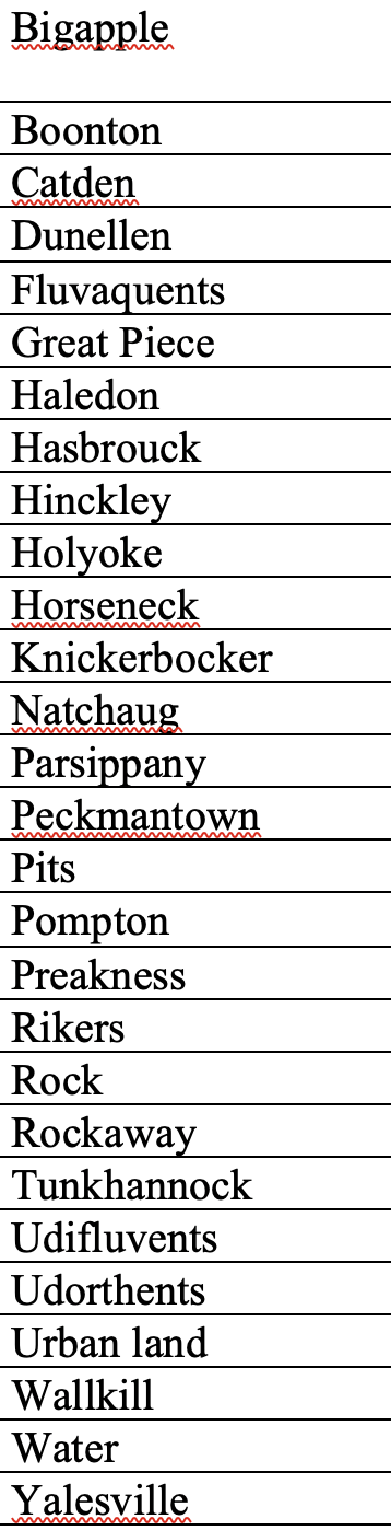 Solved Bigapple Boonton Catden Dunellen Fluvaquents Great | Chegg.com