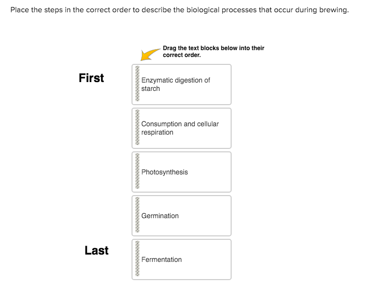 Solved Place the steps in the correct order to describe the | Chegg.com