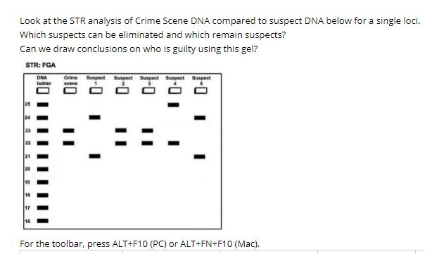 Solved Look at the STR analysis of Crime Scene DNA compared | Chegg.com