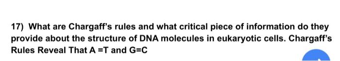 Solved 17) What are Chargaff's rules and what critical piece | Chegg.com